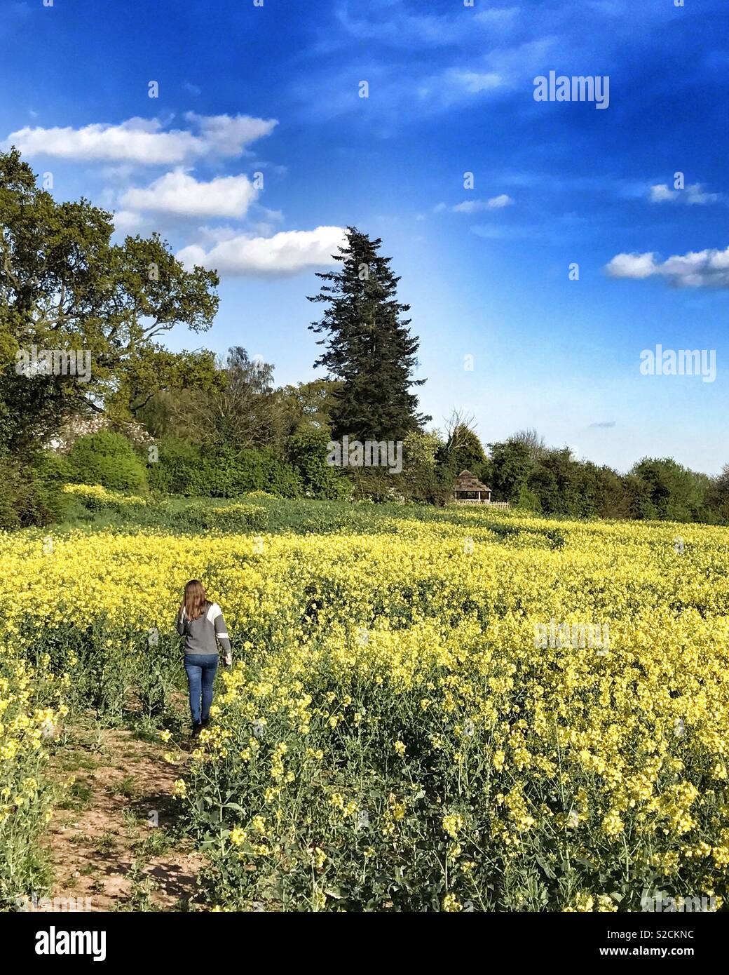 Summer walks hi-res stock photography and images - Alamy