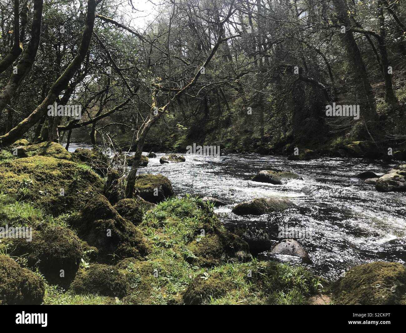 Walk along the river hi-res stock photography and images - Alamy