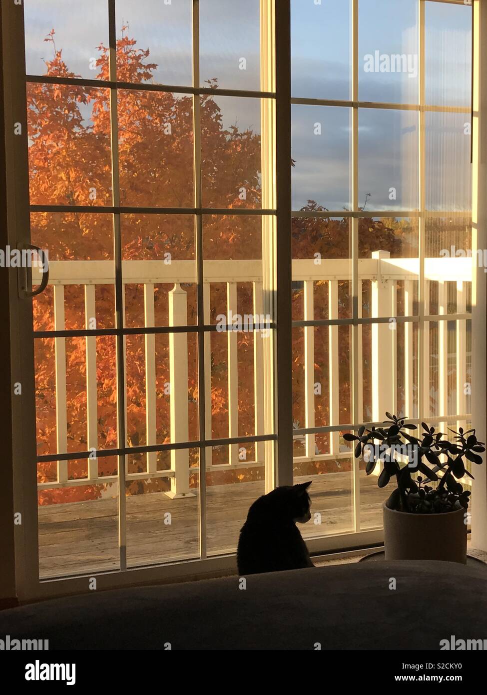 Fall outside my window hi-res stock photography and images - Alamy