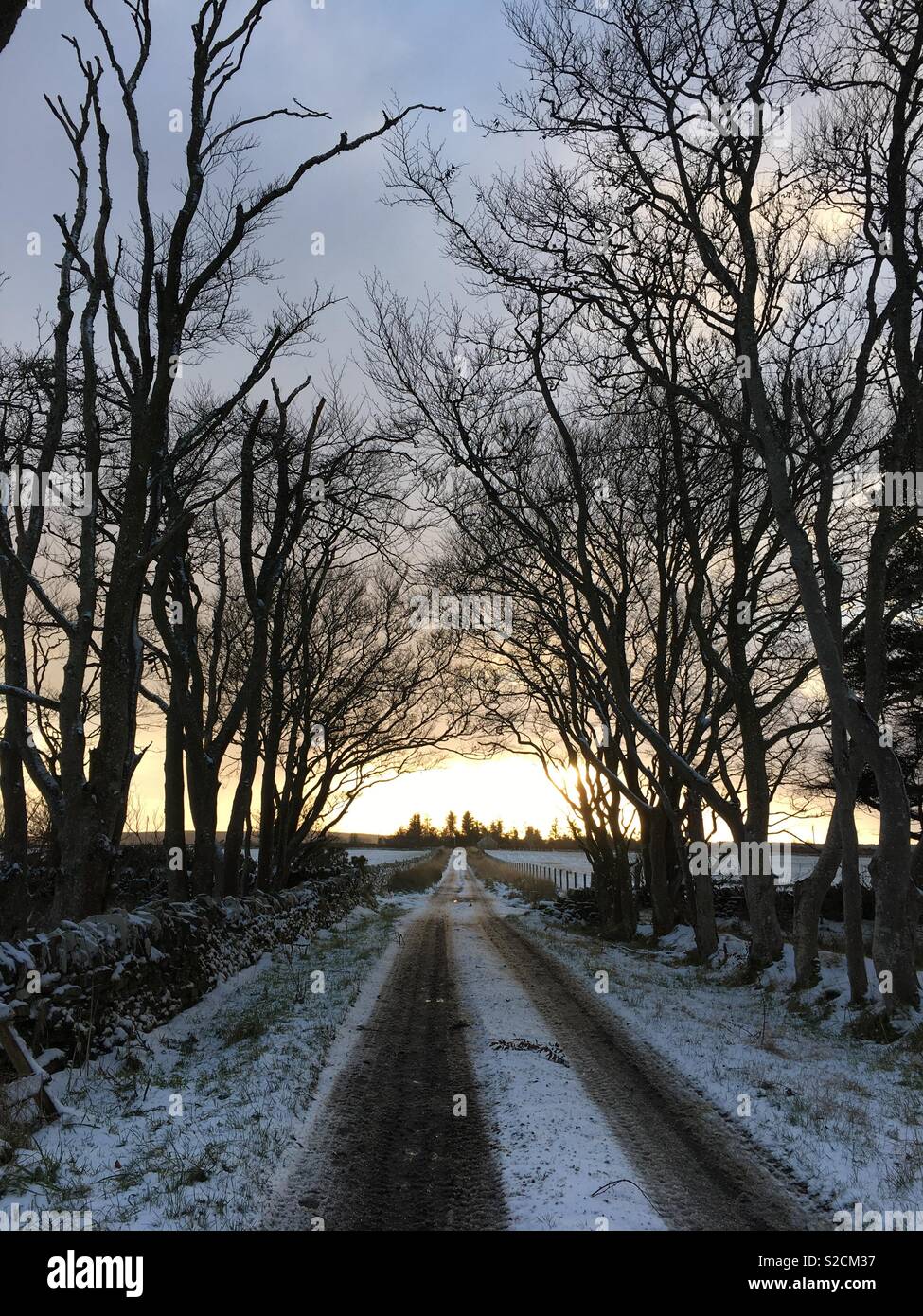Early winter morn Stock Photo - Alamy