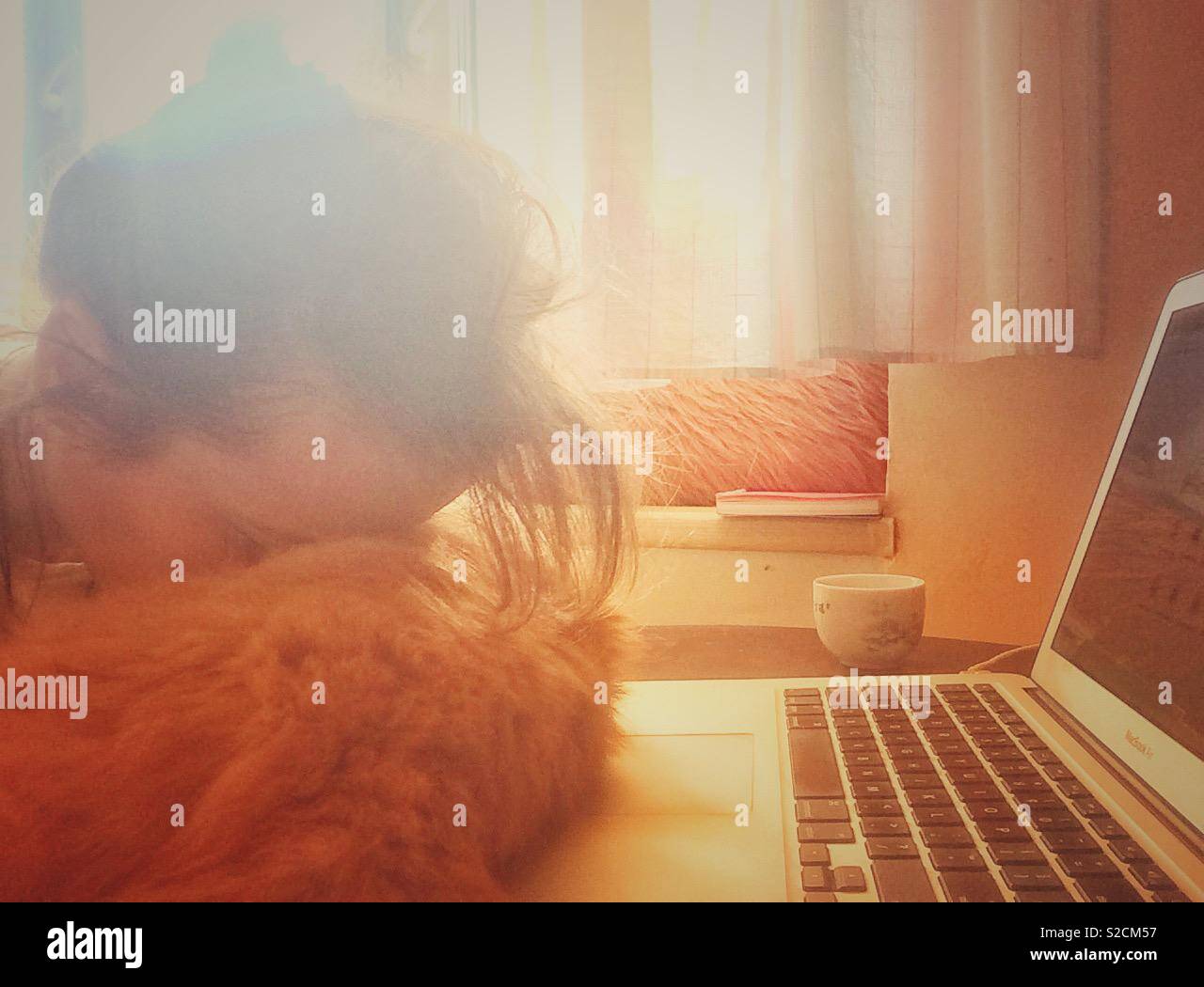 Airbook hi-res stock photography and images - Alamy