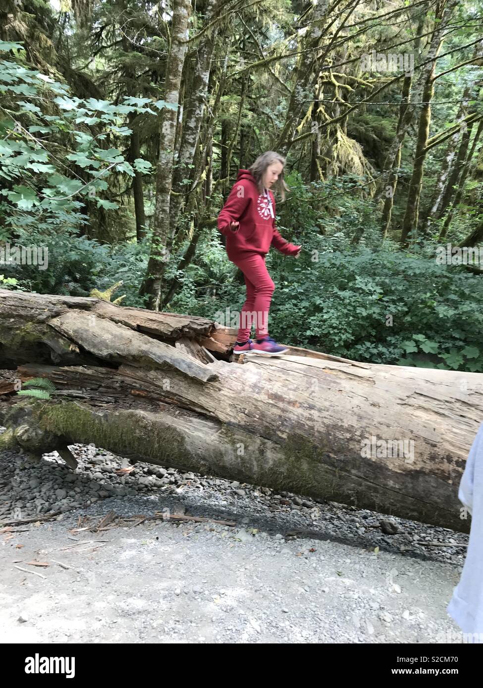 Child walking across fallen tree Stock Photo - Alamy