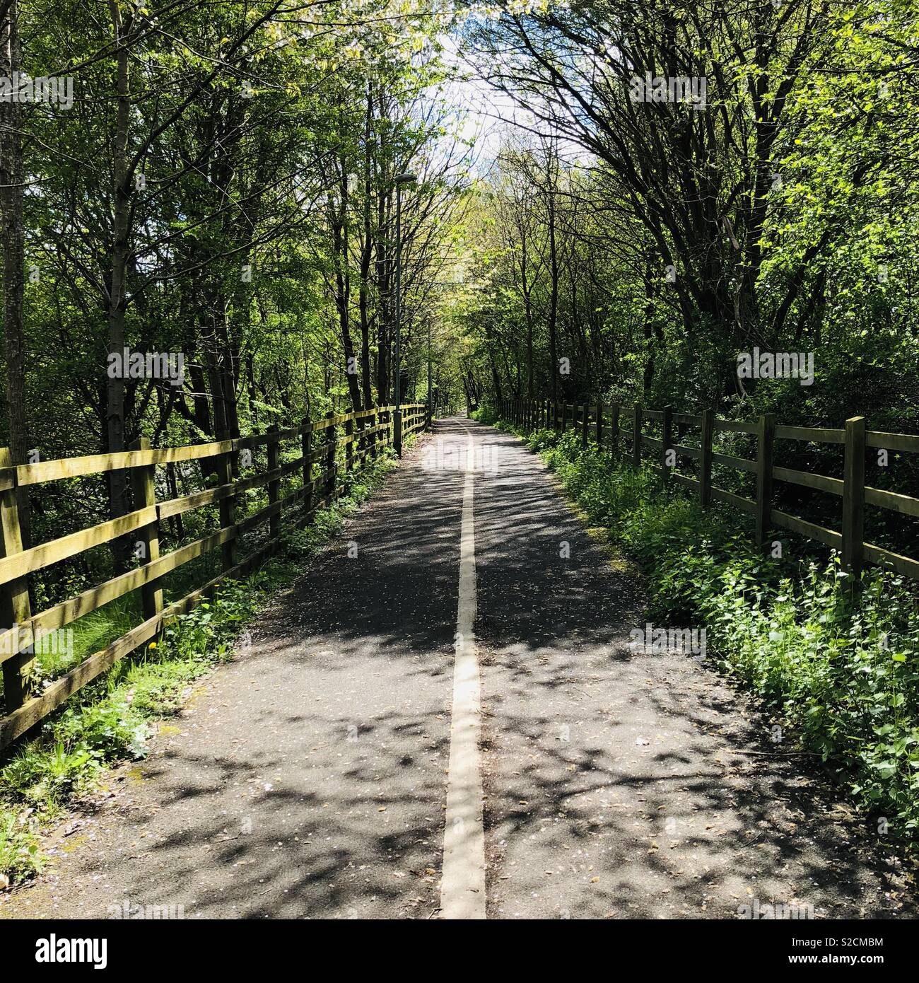 Pathway of beauty Stock Photo - Alamy