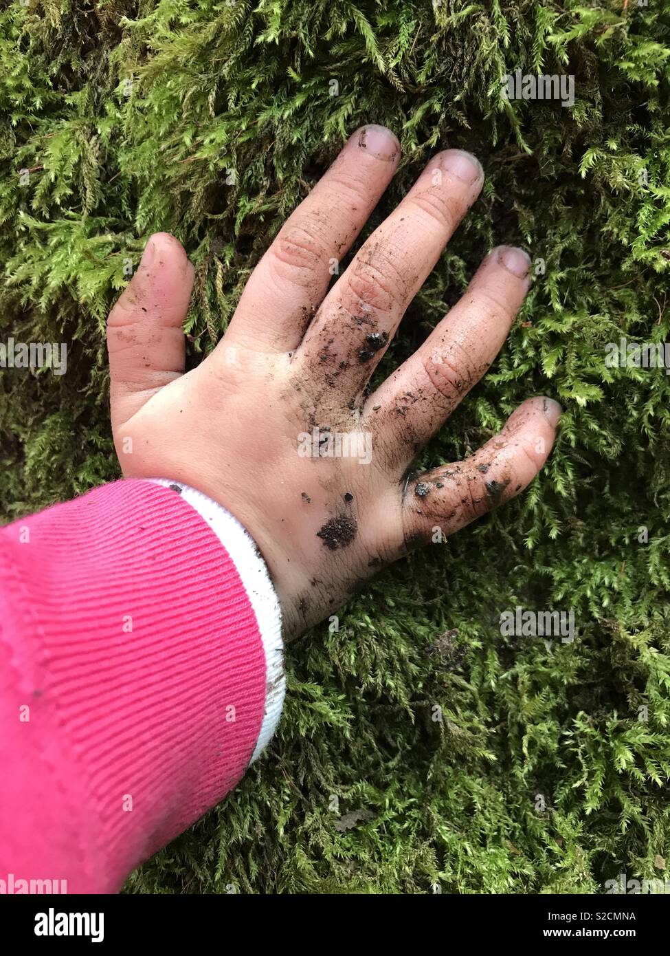 Feeling moss hi-res stock photography and images - Alamy