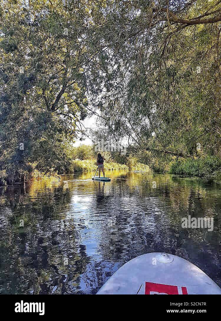 Waterboarding hi-res stock photography and images - Alamy