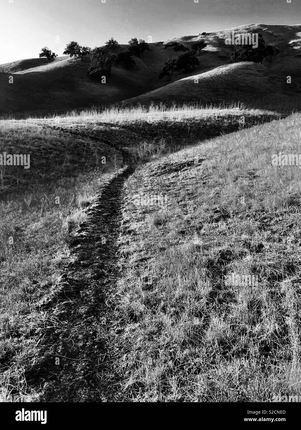 Path through grassy foothills, in black and white Stock Photo - Alamy