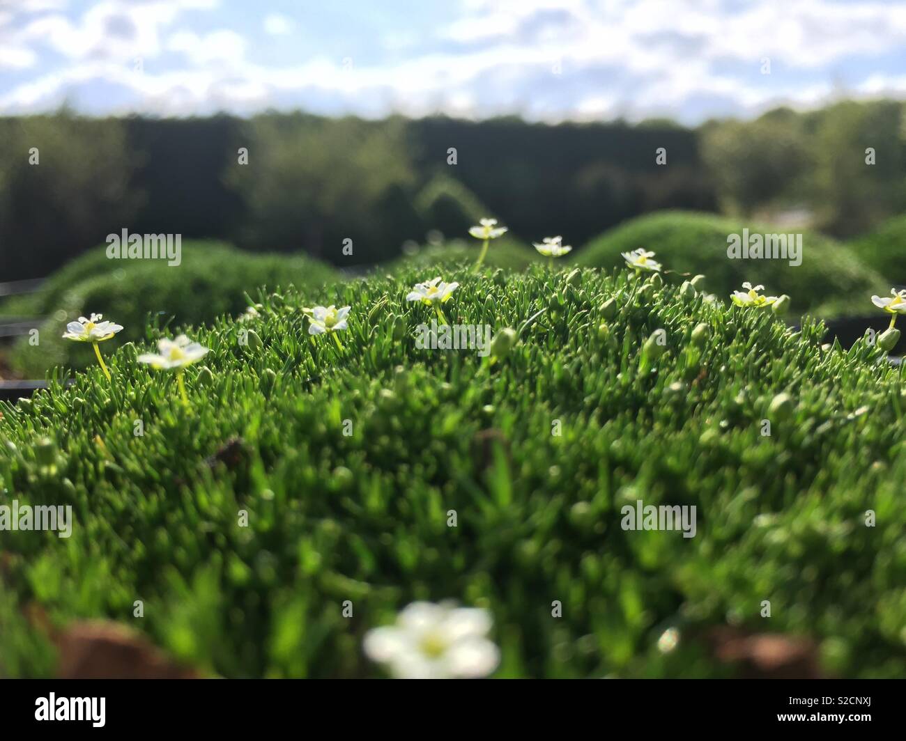 Small things could look big when we look at them from different ...