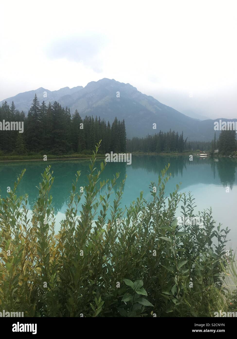 Banff, Canada, River Stock Photo - Alamy