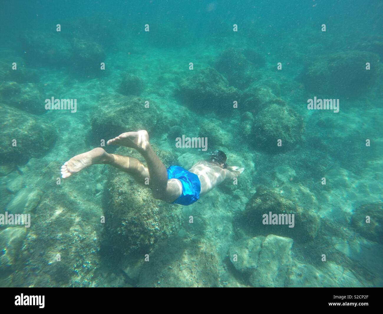 Free diving ocean hi-res stock photography and images - Alamy