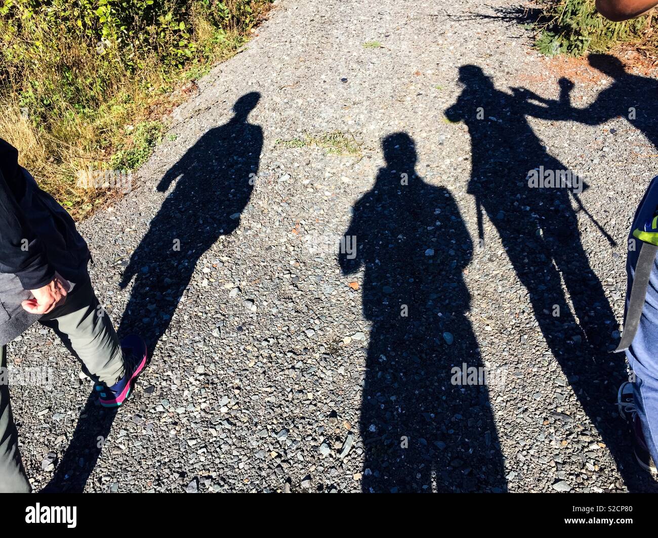 Group outing hi-res stock photography and images - Alamy