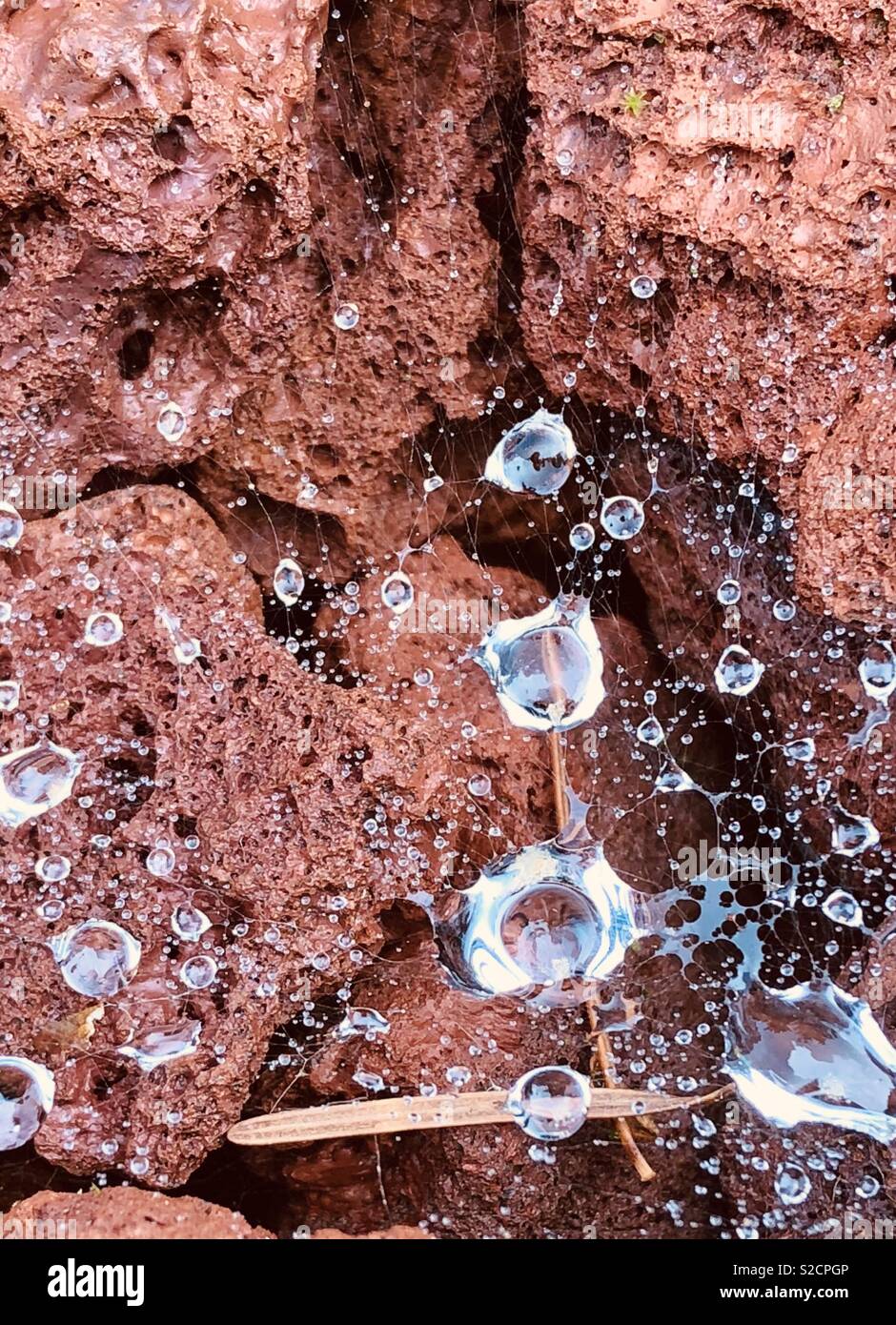 Rain on rocks hi-res stock photography and images - Alamy