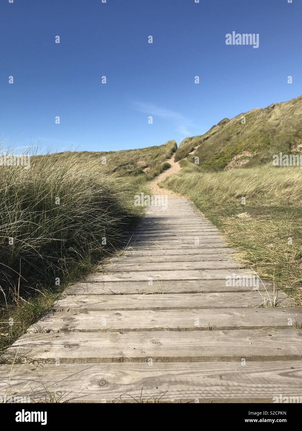 Path through the dunes Stock Photo - Alamy
