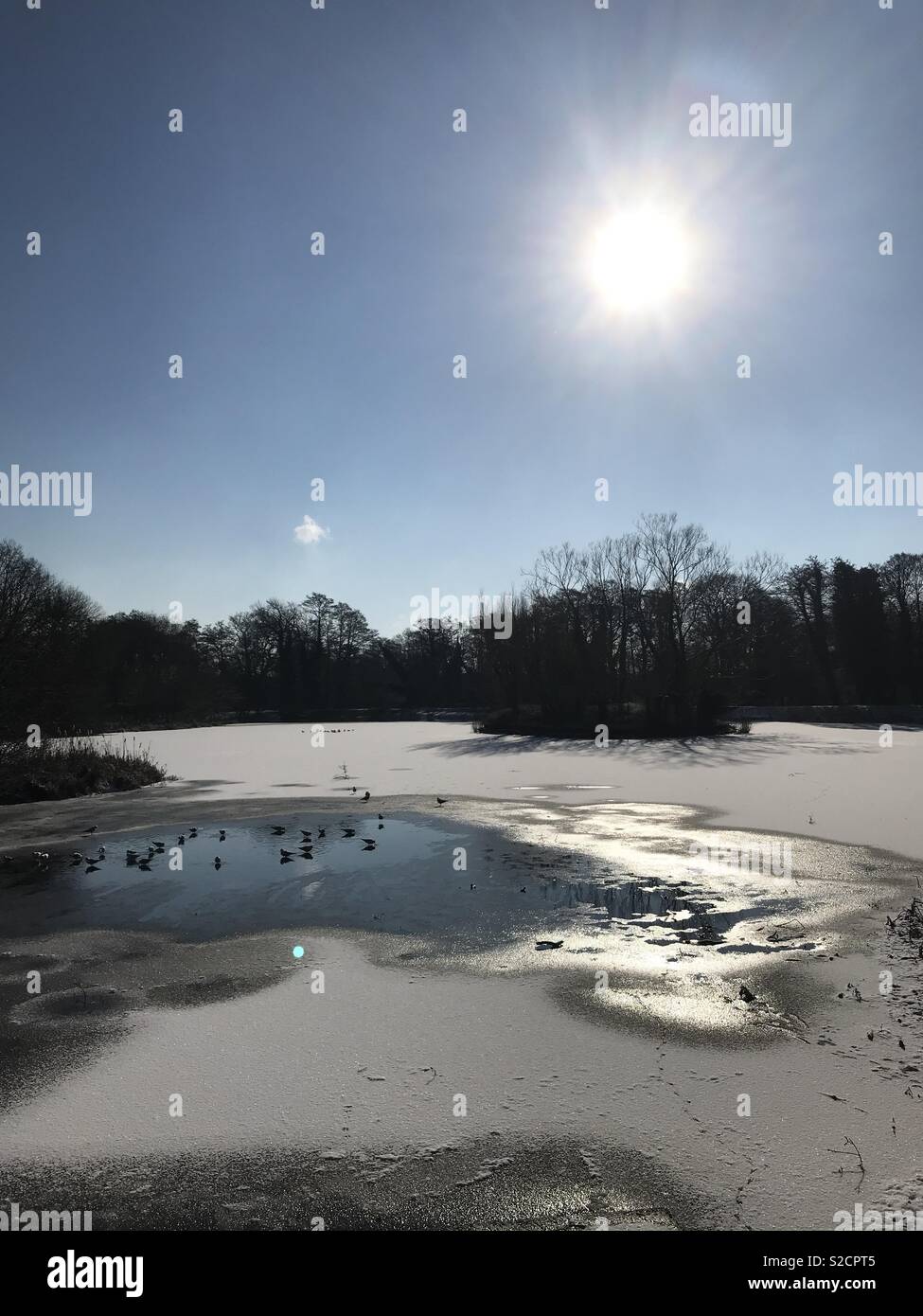 Thaw winter hi-res stock photography and images - Alamy