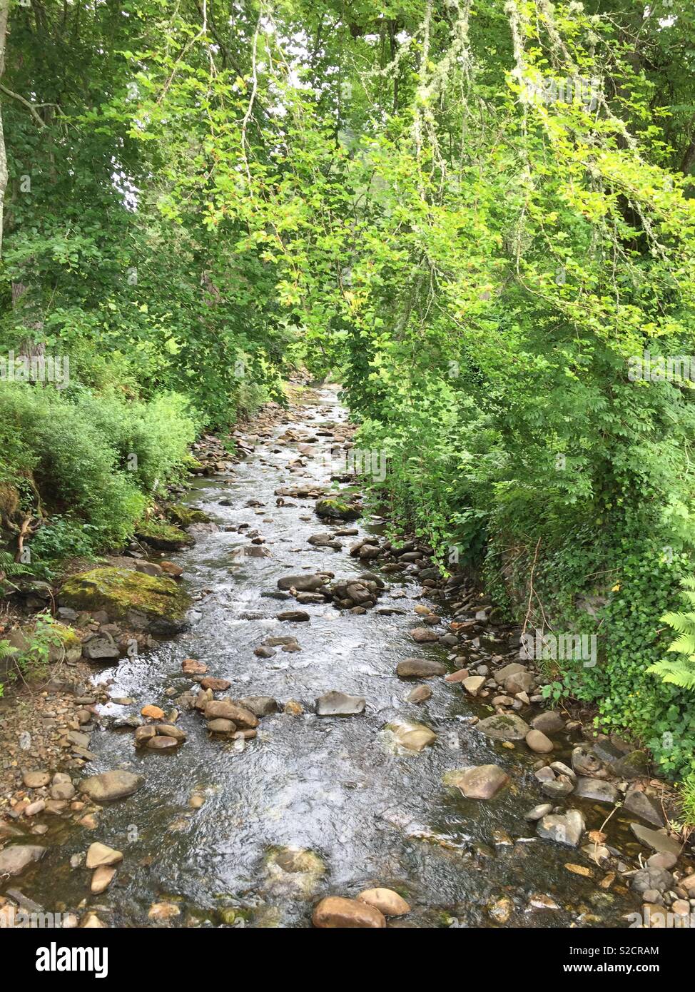 River in sunlight Stock Photo - Alamy