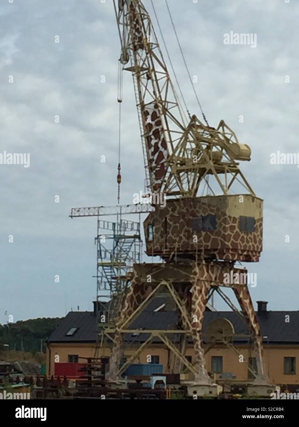 Giraffe crane in Stockholm Stock Photo - Alamy