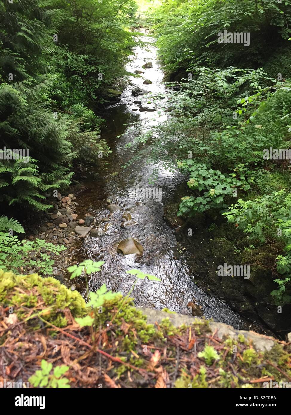 River in dappled sunlight hi-res stock photography and images - Alamy