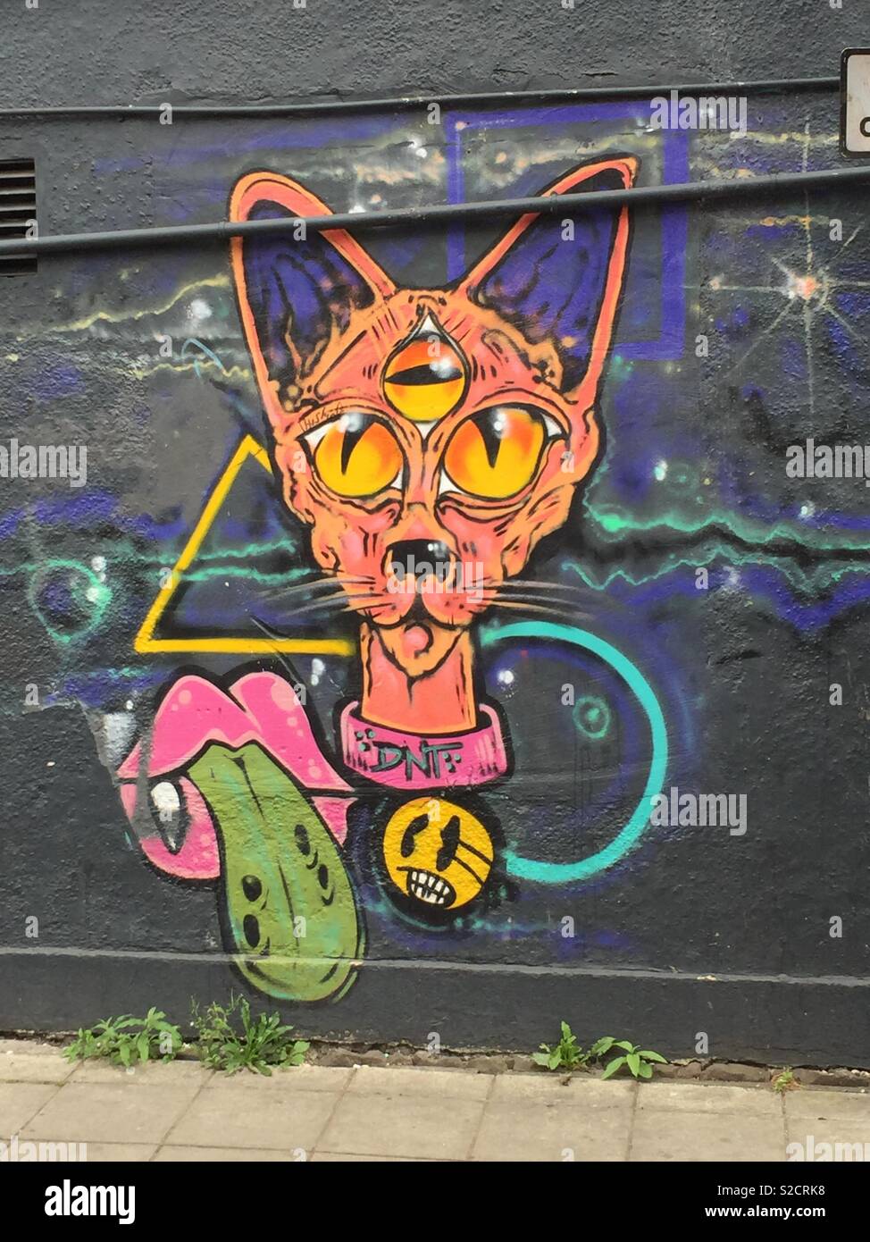 Graffiti cat hi-res stock photography and images - Alamy