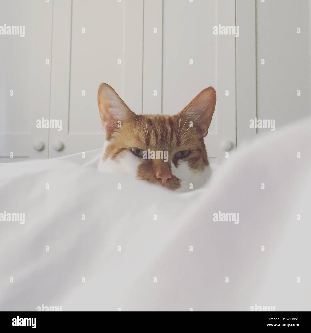 Peeping tom hi-res stock photography and images - Alamy