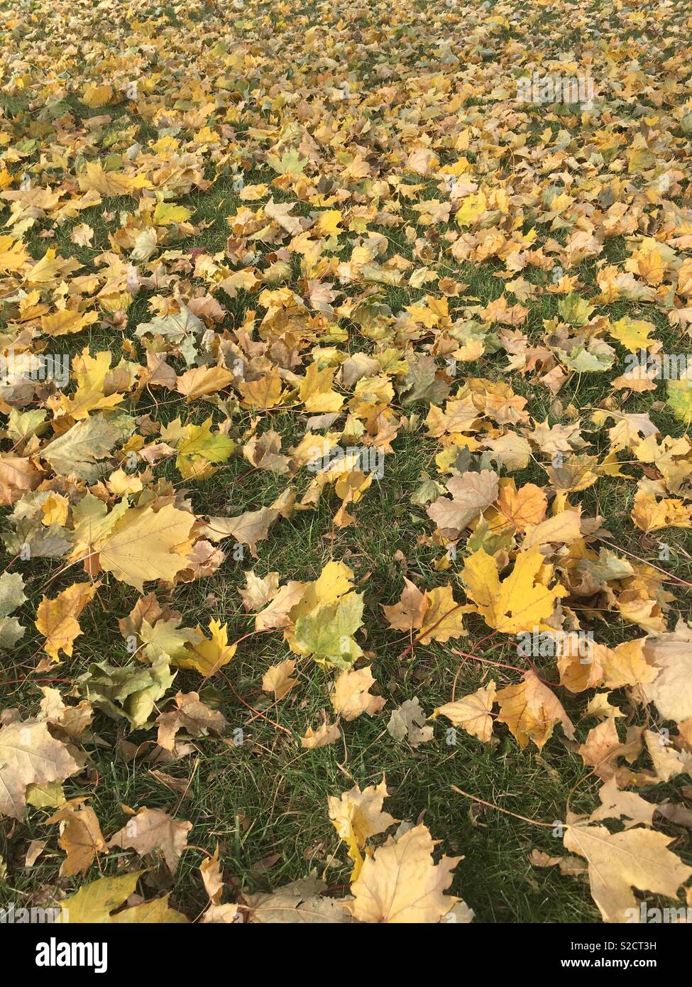 Time for fall Stock Photo - Alamy