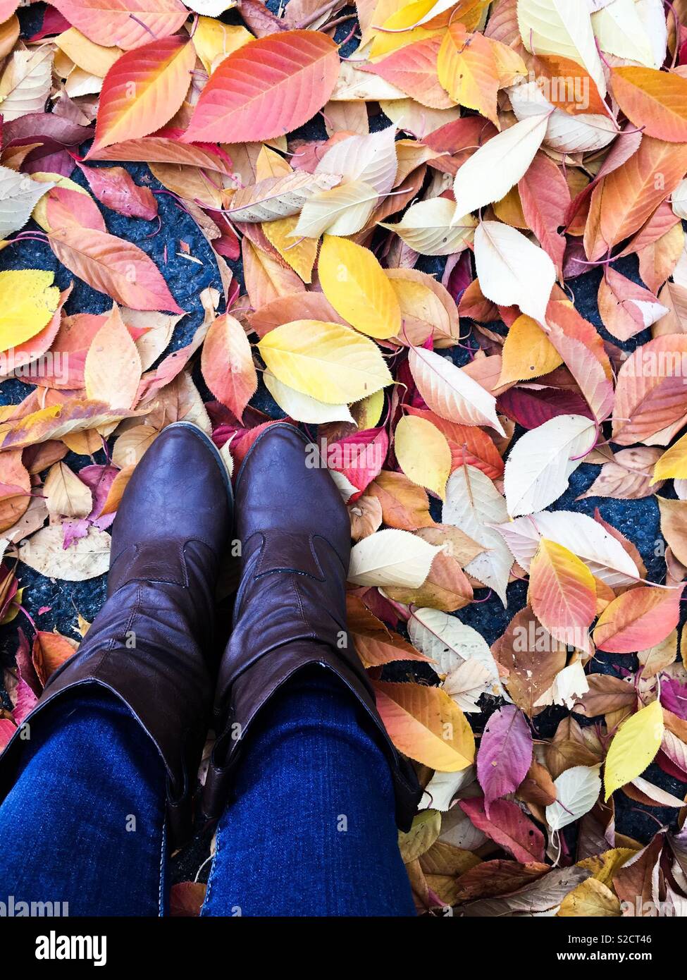 Seasons change hi-res stock photography and images - Alamy