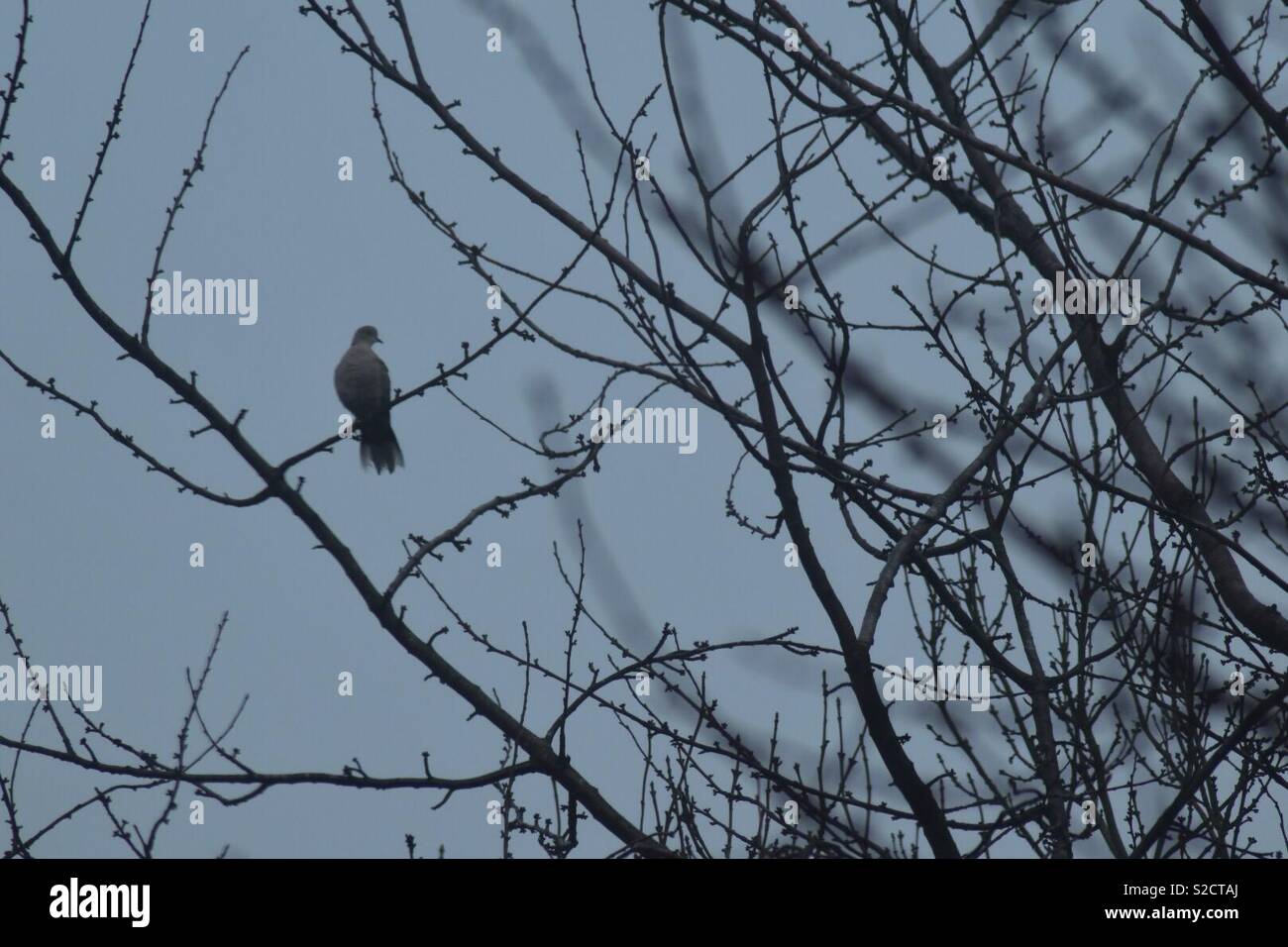 Gloomy Morning High Resolution Stock Photography and Images - Alamy