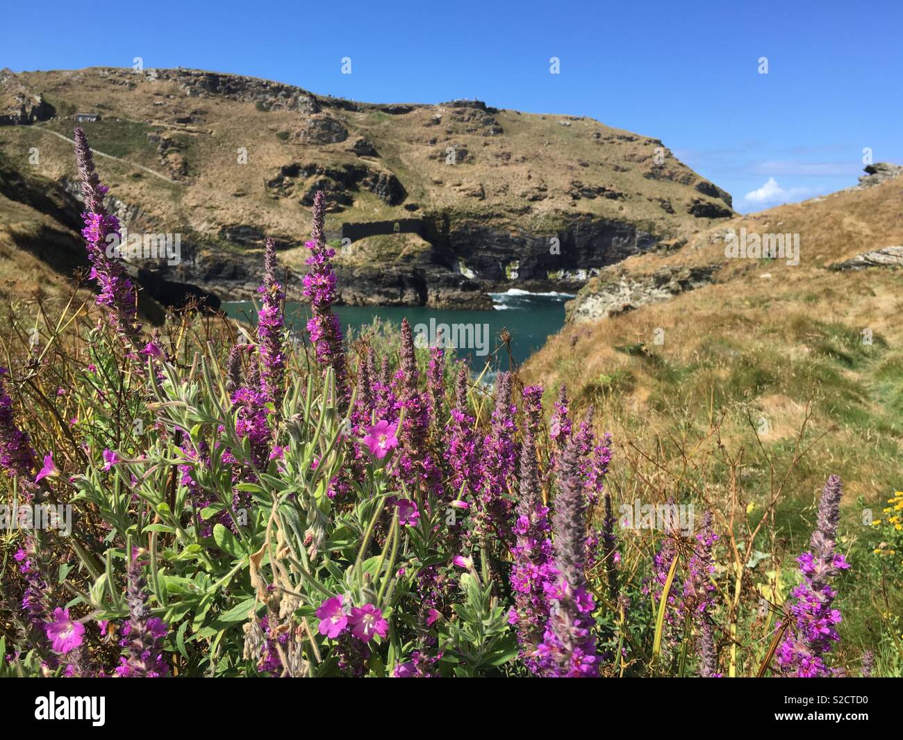 The cliffs of Tintagel Stock Photo - Alamy