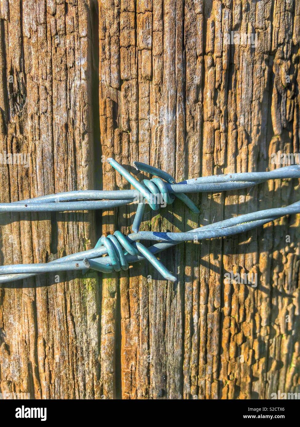 Barbed wire on wood Stock Photo - Alamy