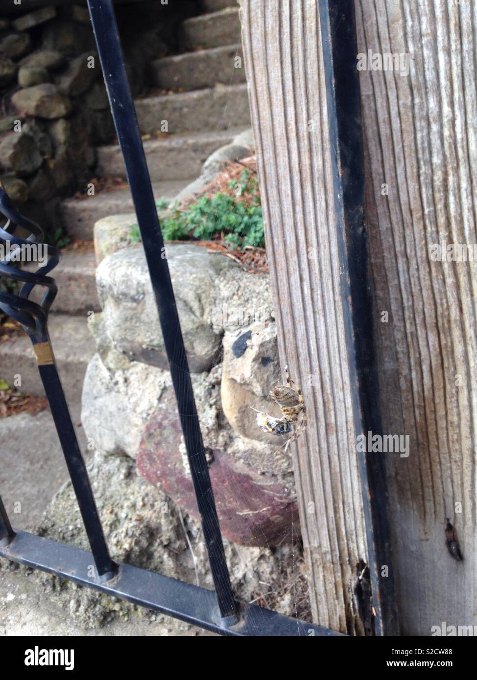 Wincy hi-res stock photography and images - Alamy