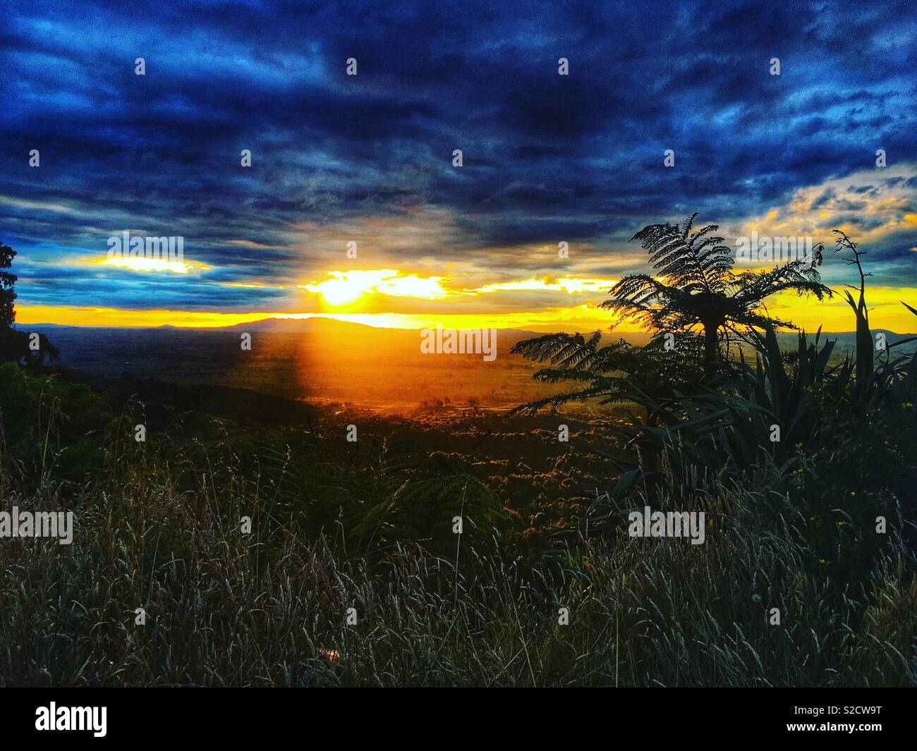 Kaimai hi-res stock photography and images - Alamy