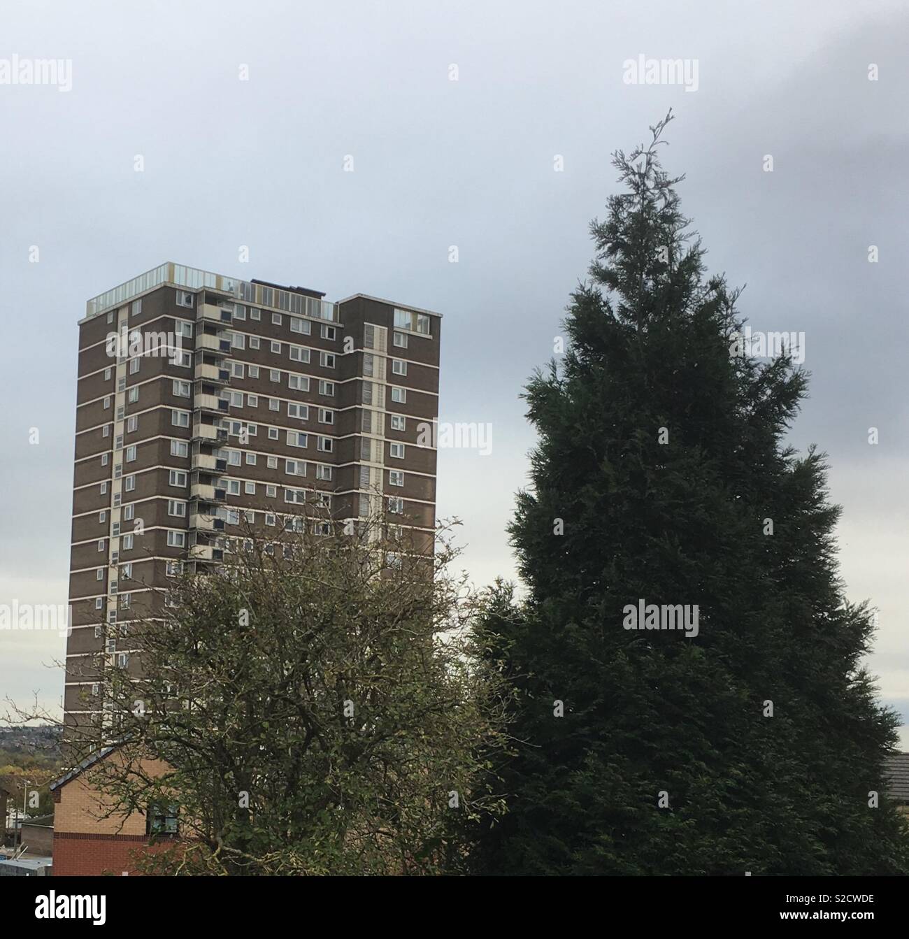 High rise trees hi-res stock photography and images - Alamy