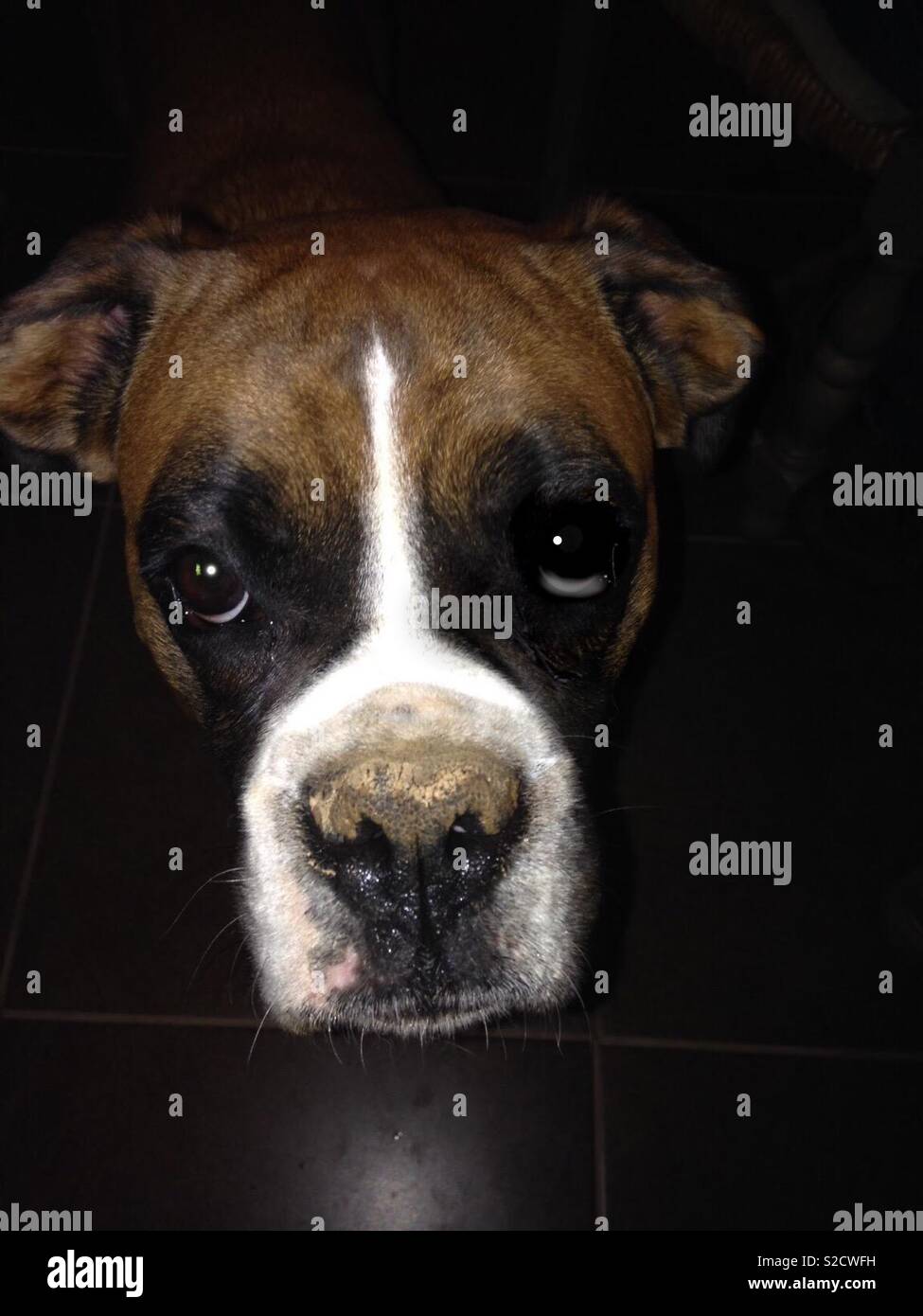 Please help me Stock Photo - Alamy
