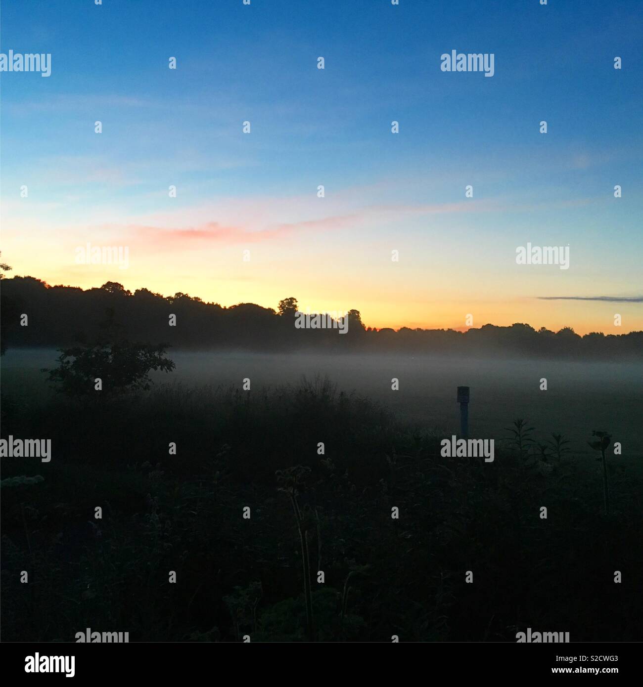 Mist on common hi-res stock photography and images - Alamy