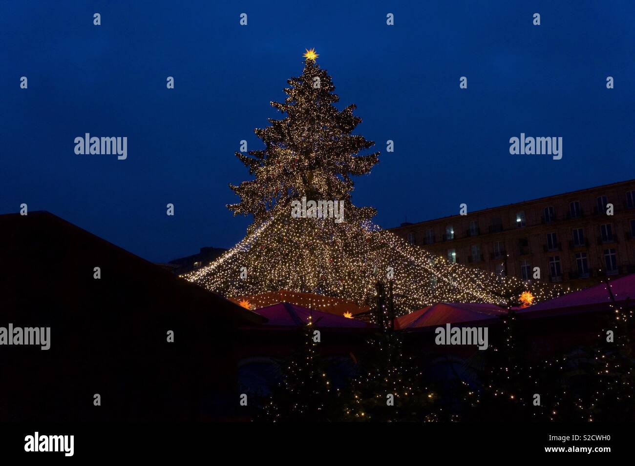 Christmas tree at Cologne Cathedral Christmas Market Stock Photo - Alamy