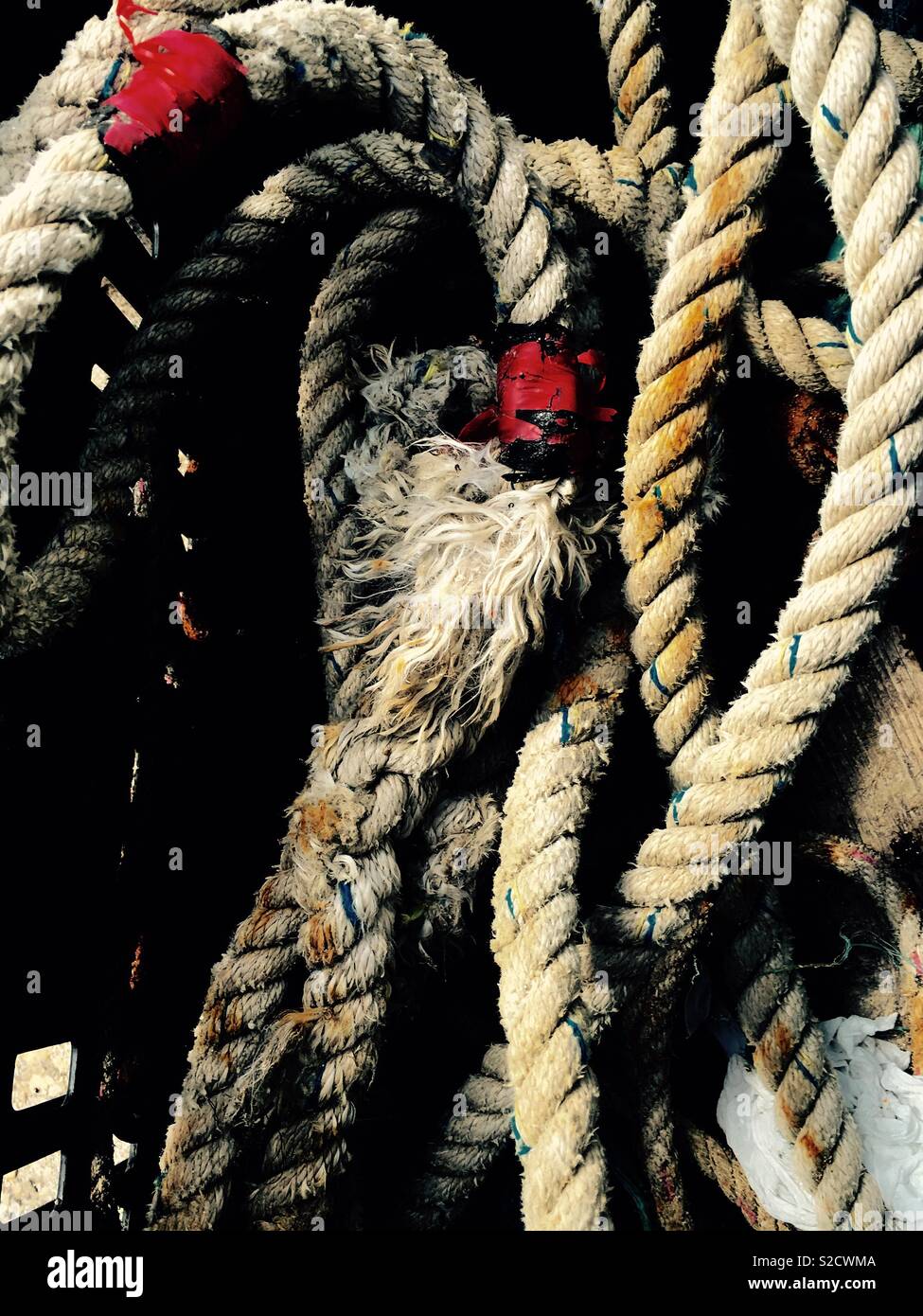 Tangled fishing rope hi-res stock photography and images - Alamy