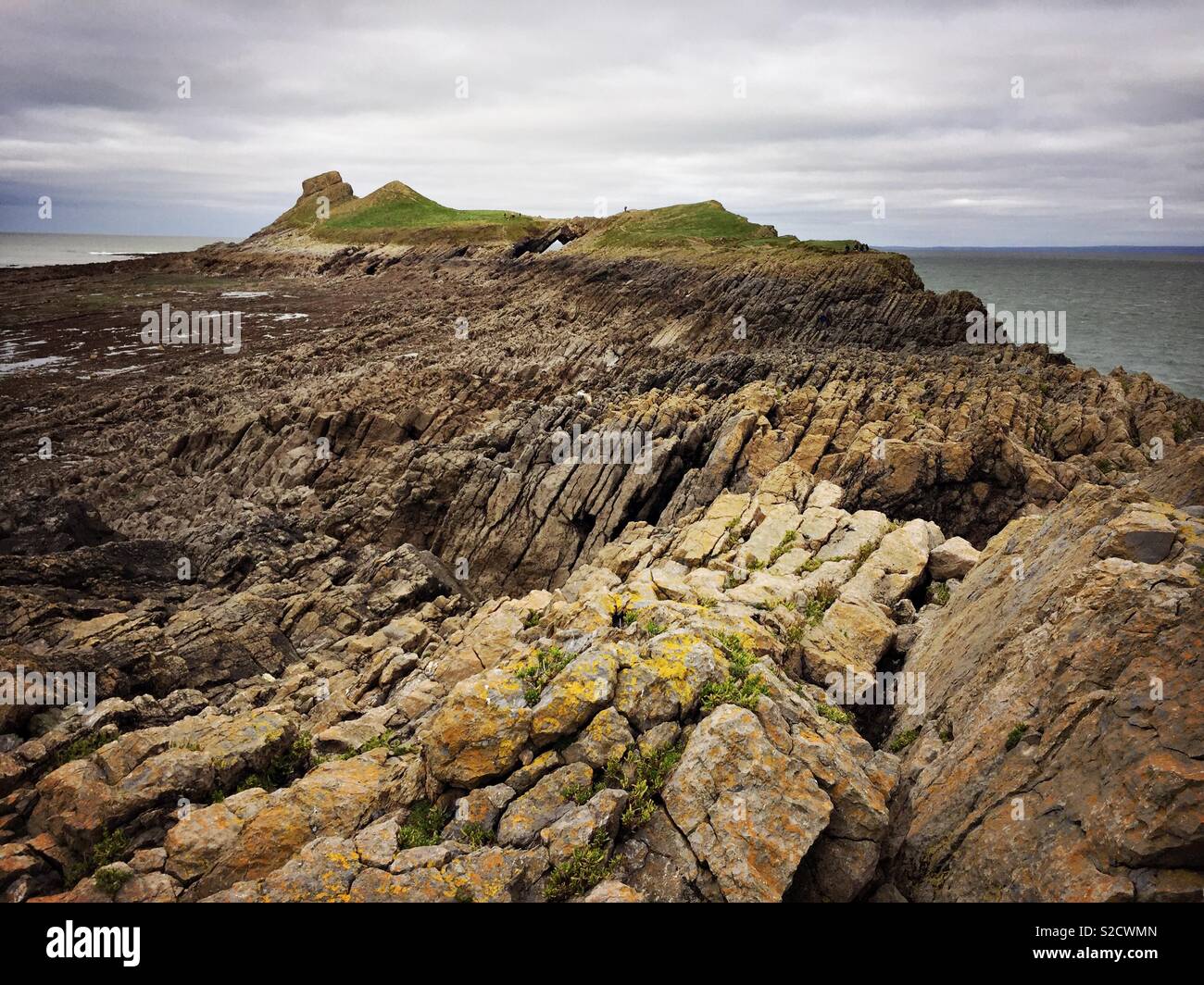 Worm Head High Resolution Stock Photography and Images - Alamy