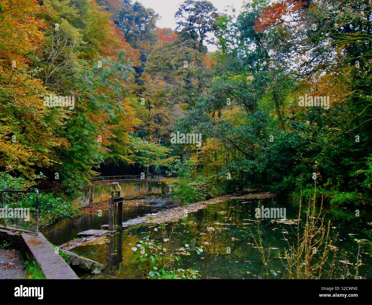 Bristol autumn leaves hi-res stock photography and images - Alamy