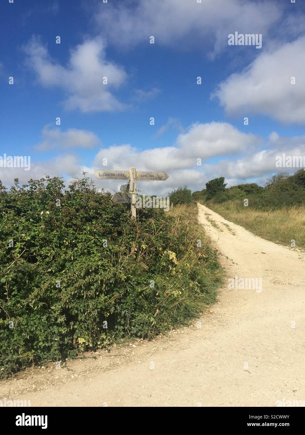 Coastal path in Dorset, summer 2018 Stock Photo - Alamy
