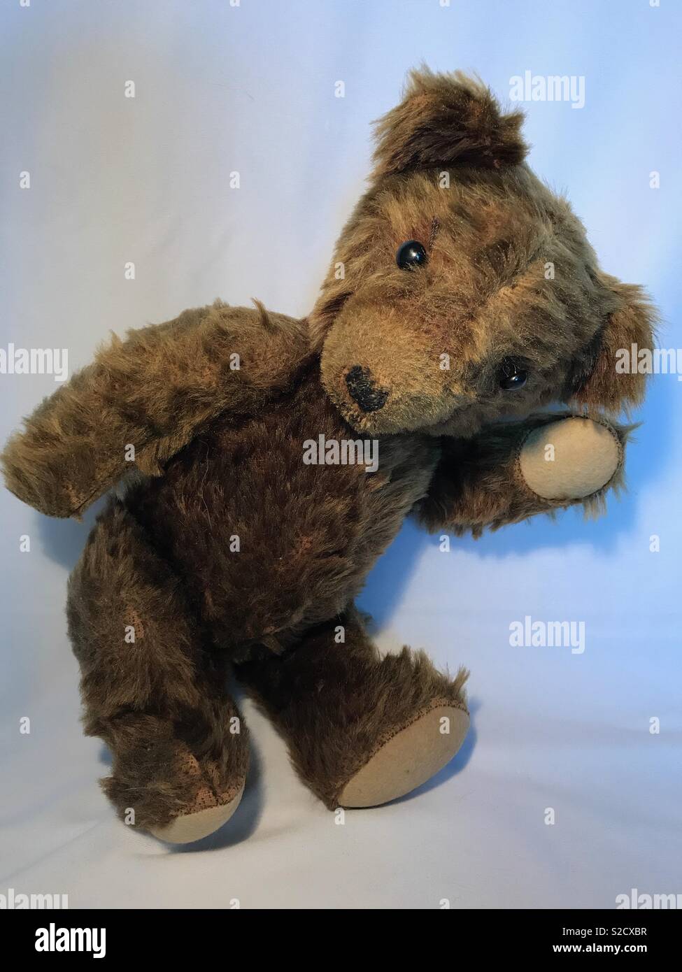 Bear waving his hi-res stock photography and images - Alamy