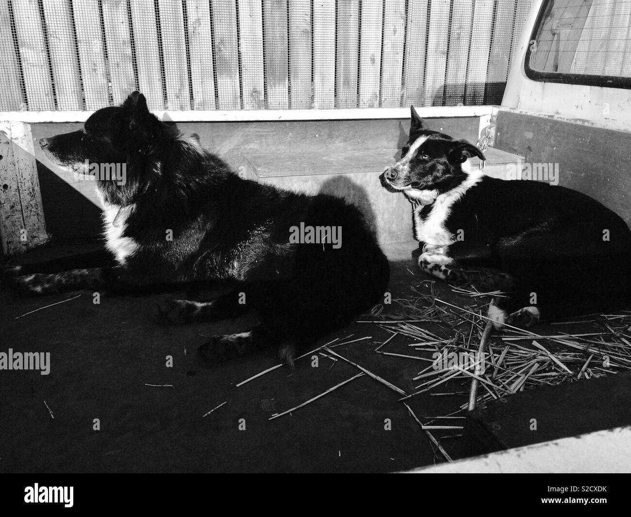 Pit stop Black and White Stock Photos & Images - Alamy