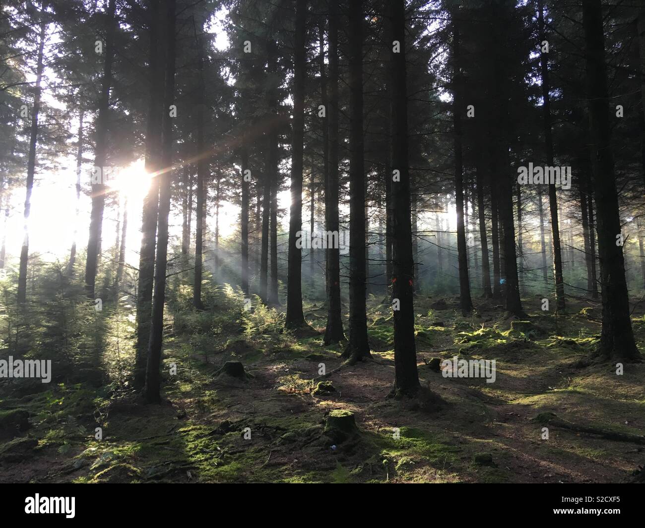 October walk hi-res stock photography and images - Alamy