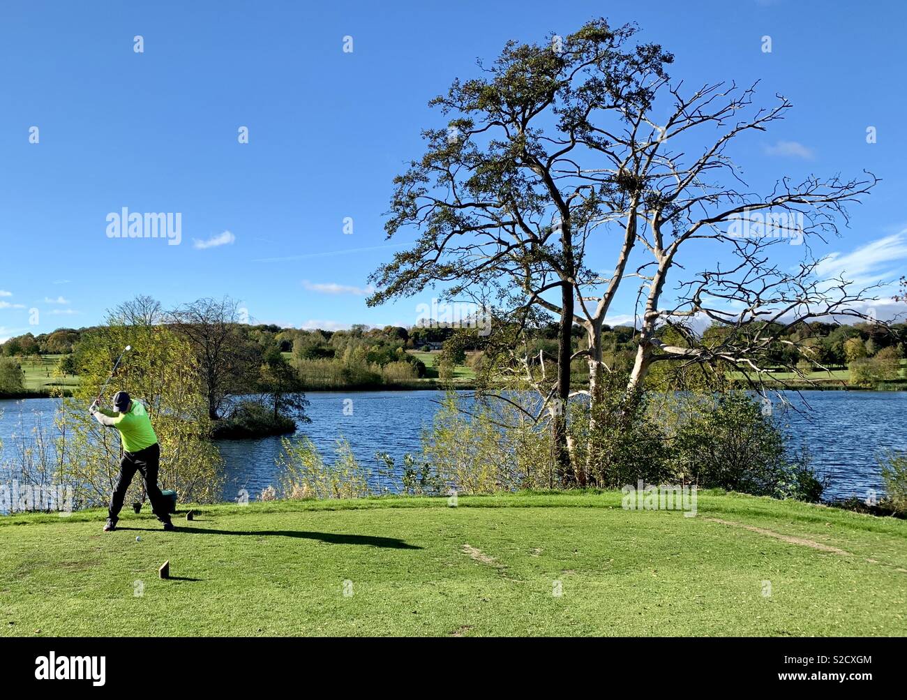 Tee tree hi-res stock photography and images - Alamy