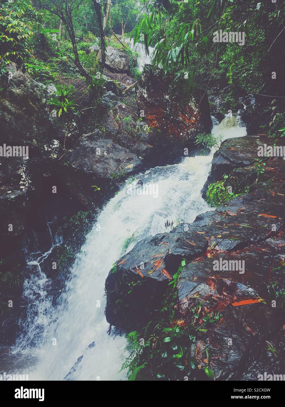 Gushing waterfall hi-res stock photography and images - Alamy