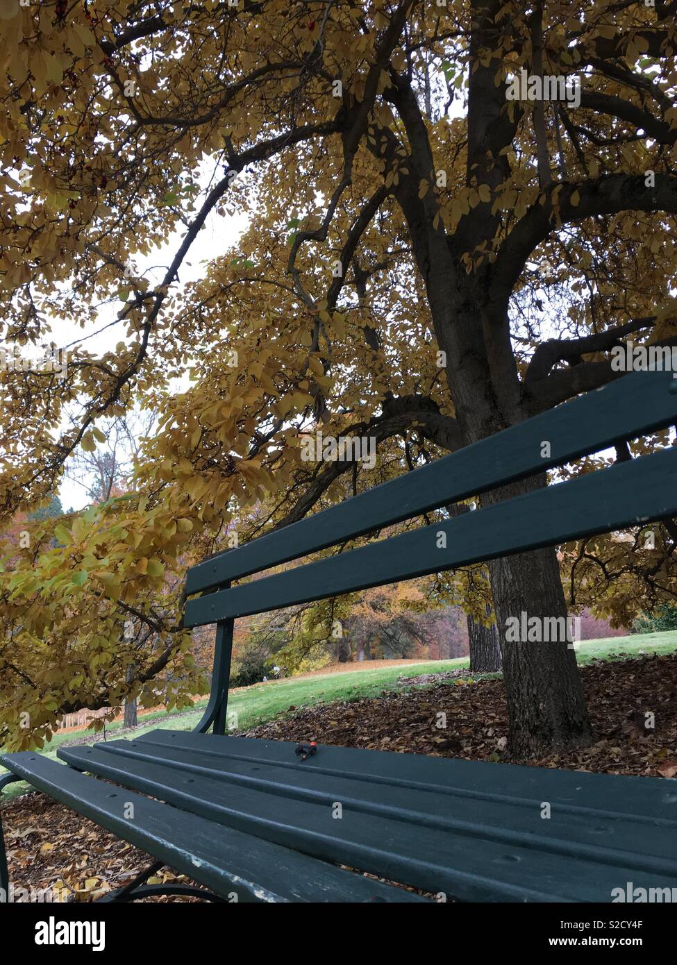 Changing bench hi-res stock photography and images - Alamy