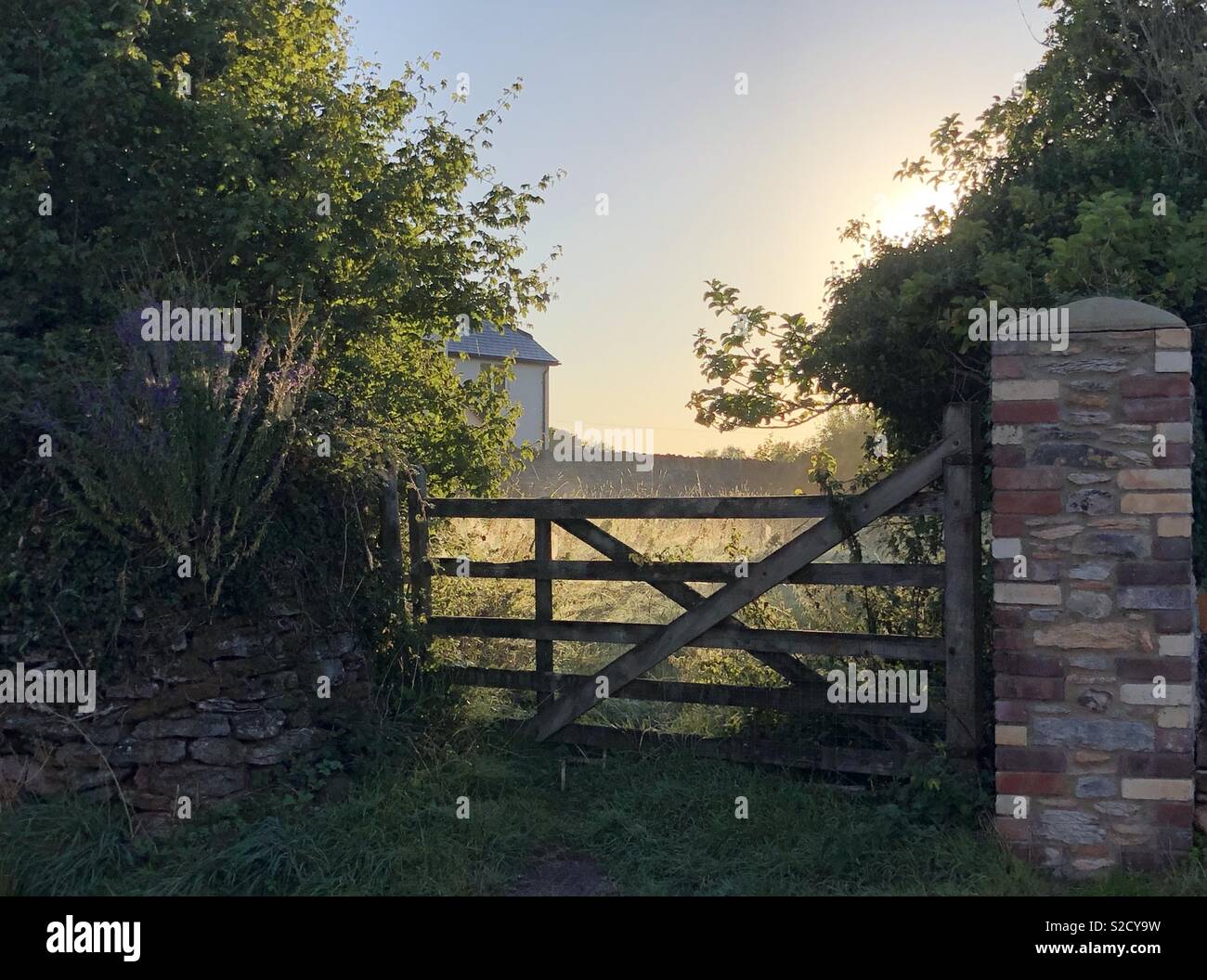 Sun country hi-res stock photography and images - Alamy