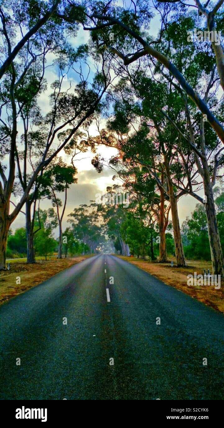 Kings park perth sunset hi-res stock photography and images - Alamy