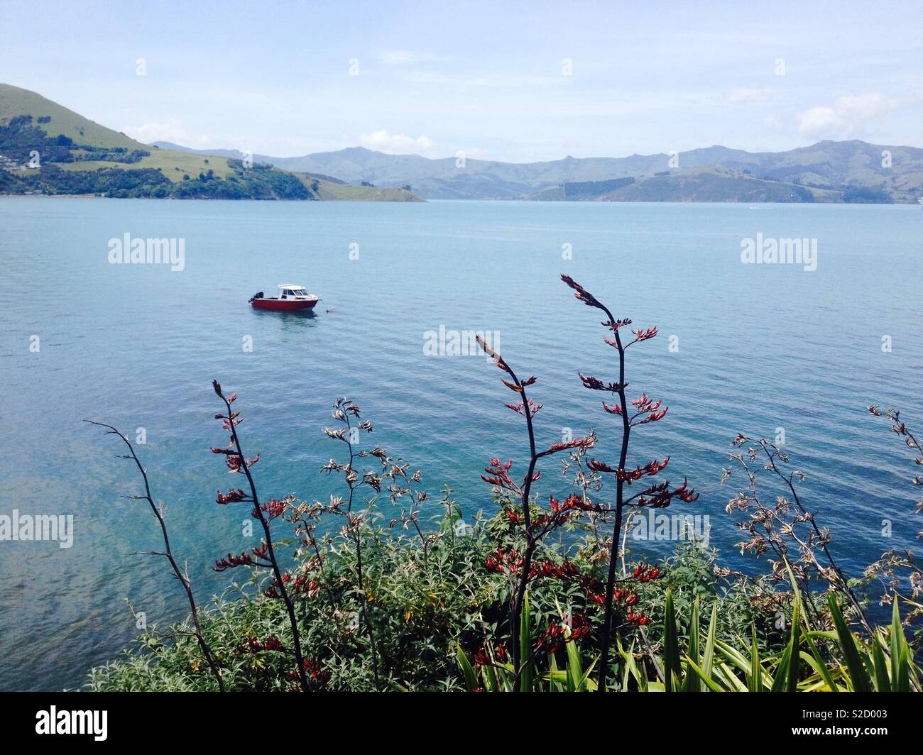 Wainui island hi-res stock photography and images - Alamy