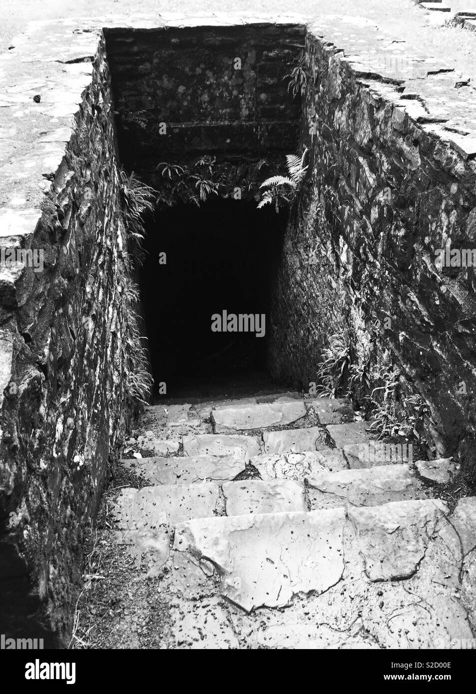 Creepy basement hi-res stock photography and images - Alamy