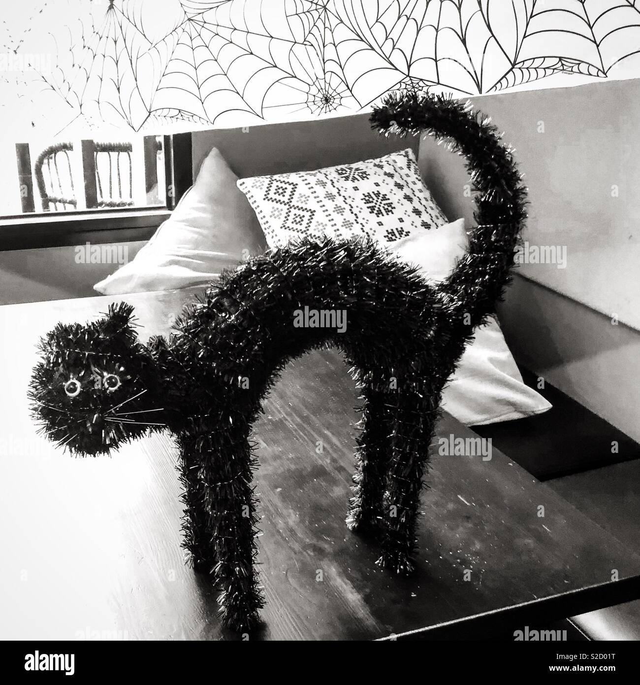 Scared cat tail hi-res stock photography and images - Alamy