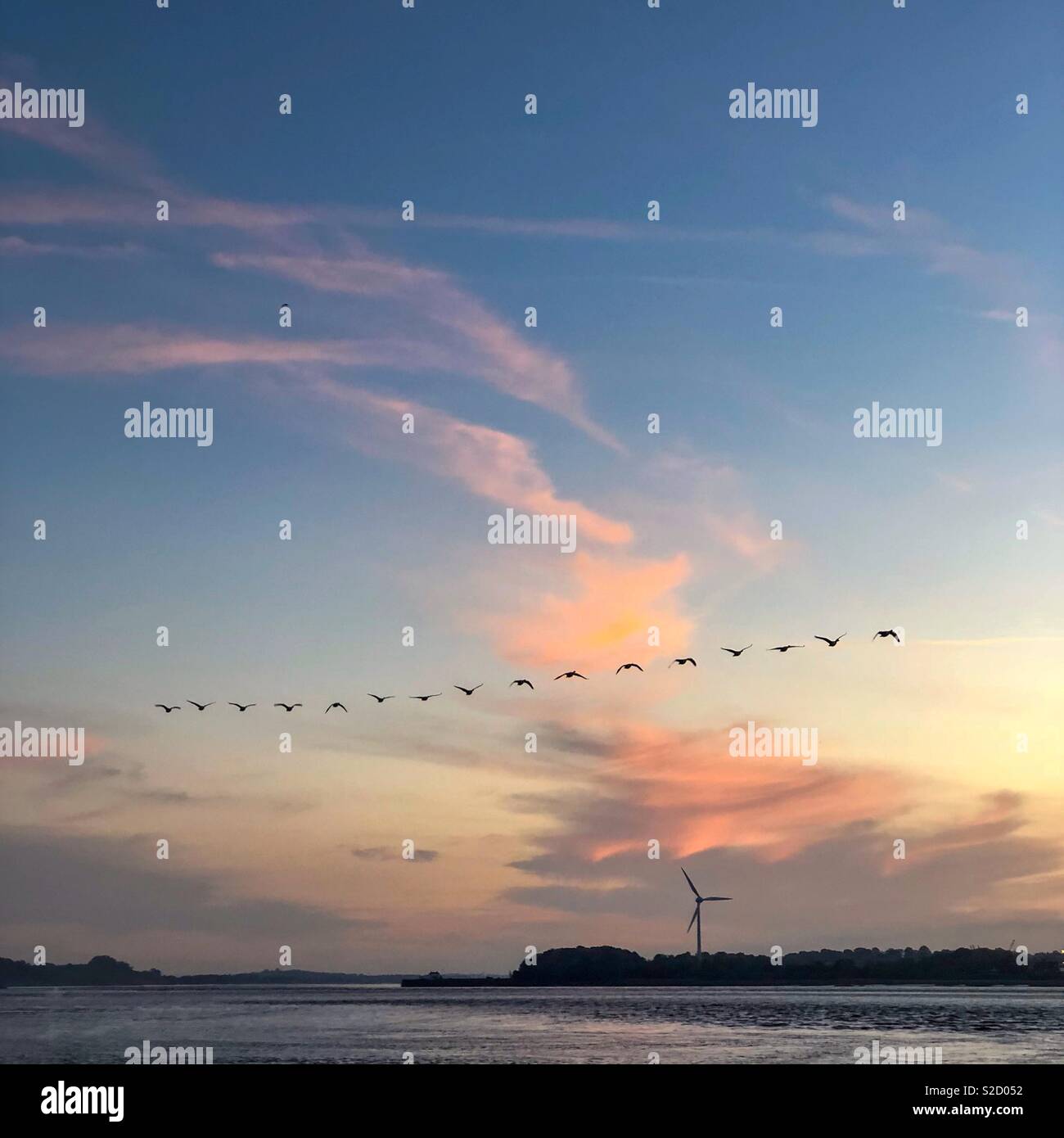 Birds river severn hi-res stock photography and images - Alamy