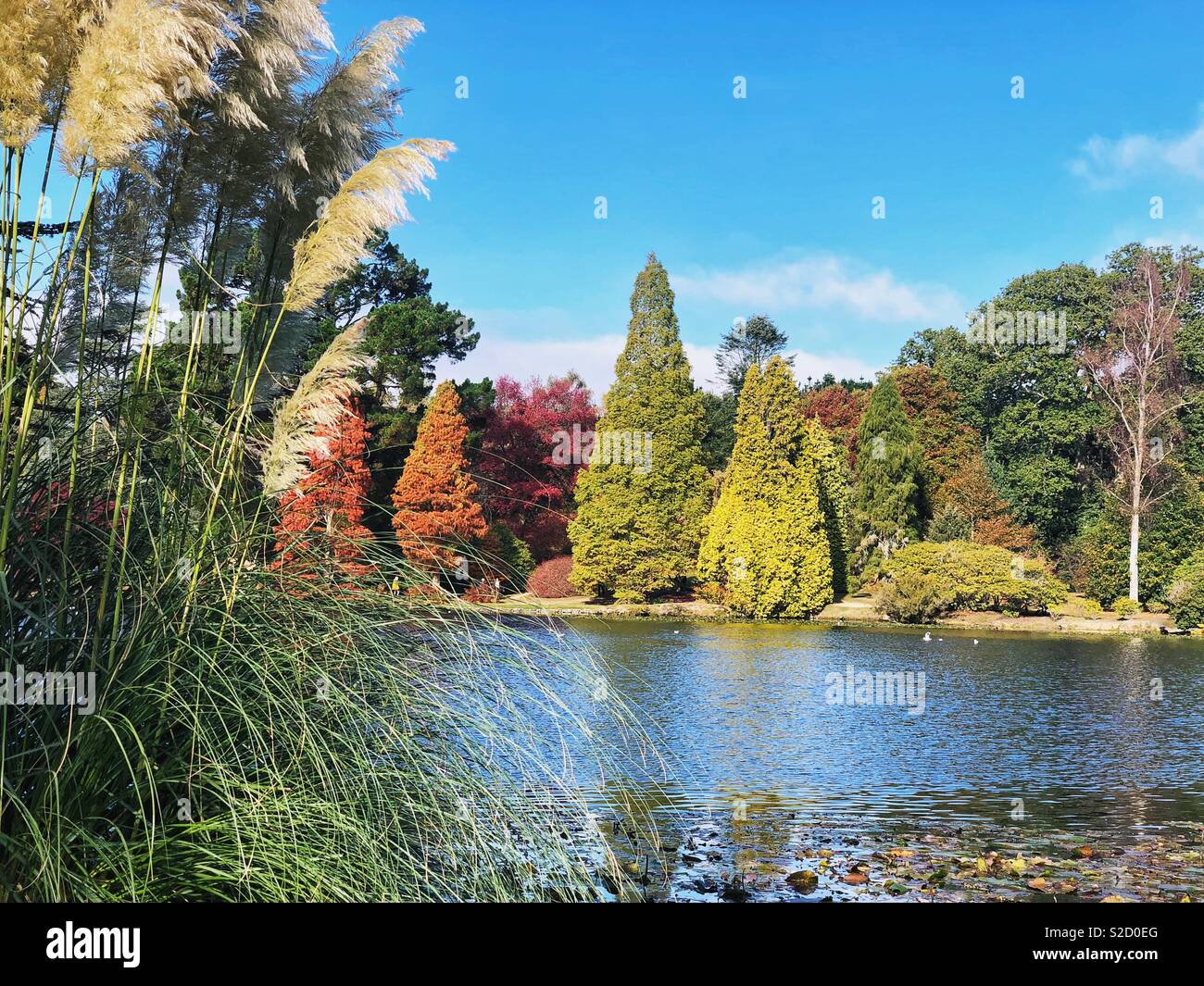 Sheffield Park High Resolution Stock Photography and Images - Alamy